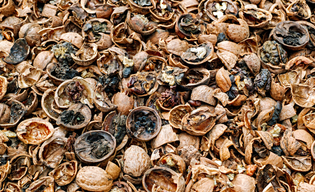 Plesnivé orechy - Byvaniein.sk